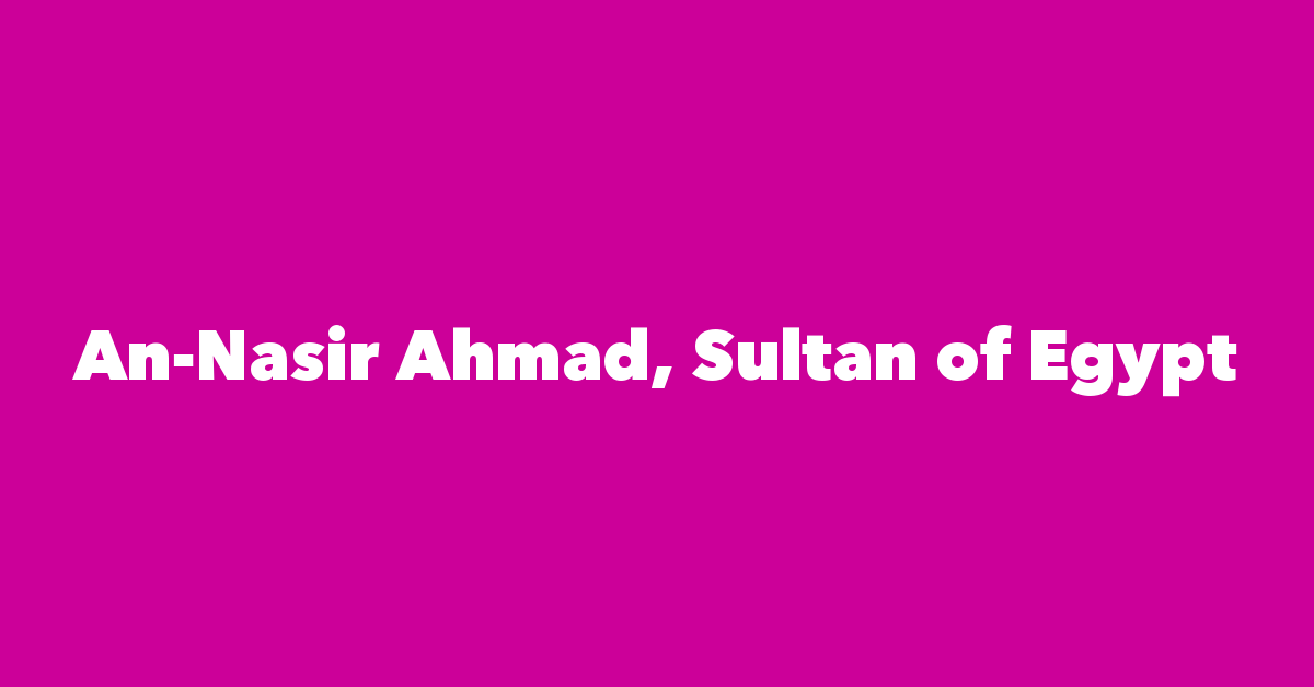 An-Nasir Ahmad, Sultan of Egypt - Spouse, Children, Birthday & More