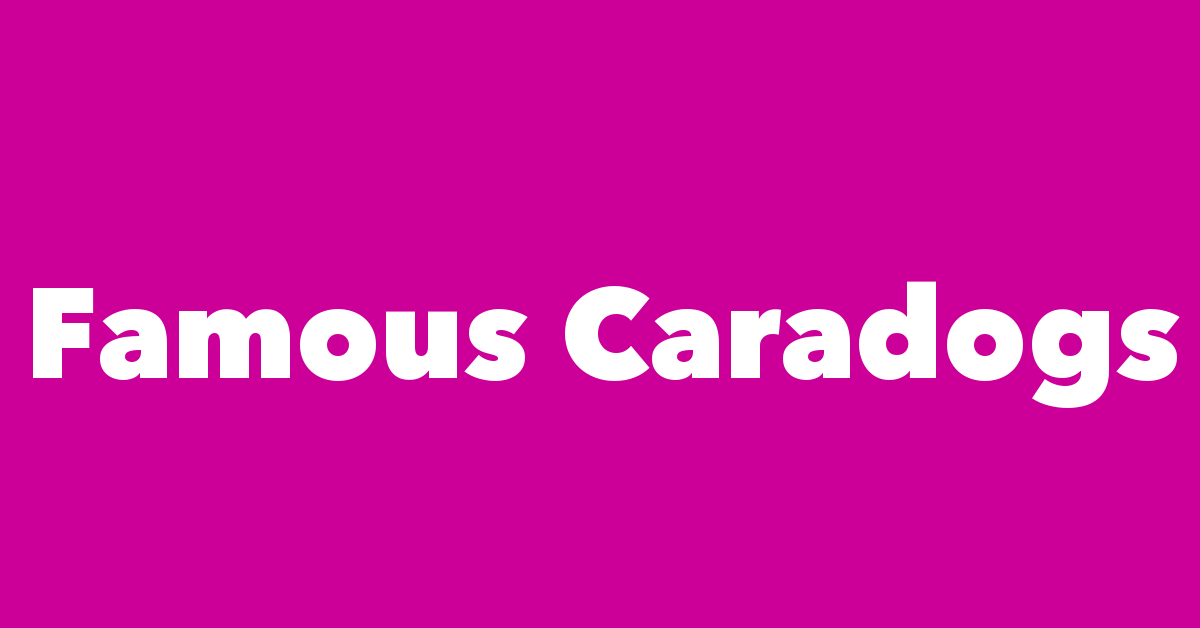 Most Famous People Named Caradog - #1 is Caradog ap Gruffydd