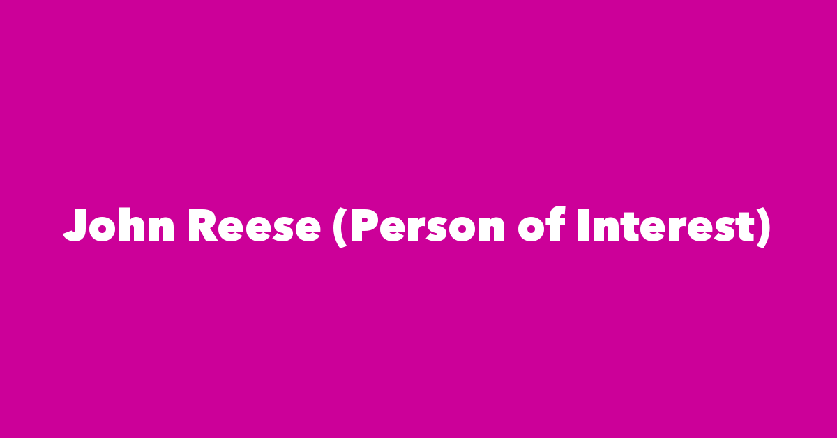 John Reese (Person of Interest) - Spouse, Children, Birthday & More