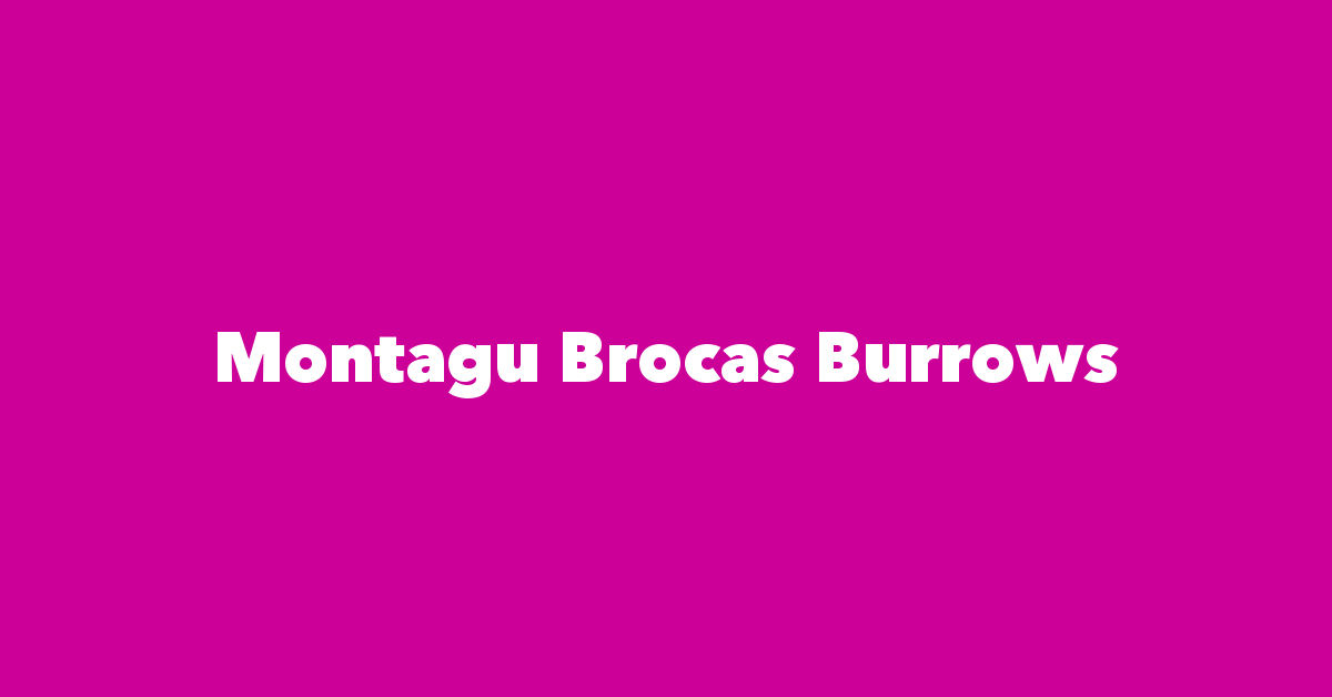 Montagu Brocas Burrows - Spouse, Children, Birthday & More