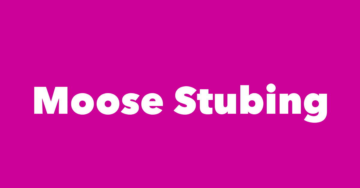 Moose Stubing - Spouse, Children, Birthday & More
