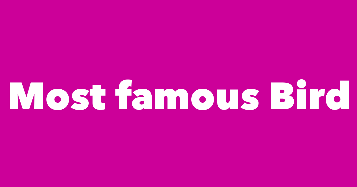 Most Famous People with Last Name Bird - #1 is Larry Bird